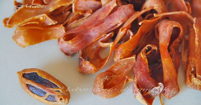 IL LABORATORIO DI MARINA: ΤΟ ΜΑΣΊΣ Ή ΑΝΘΟΣ ΜΟΣΧΟΚΑΡΥΔΟΥ // IL MACIS