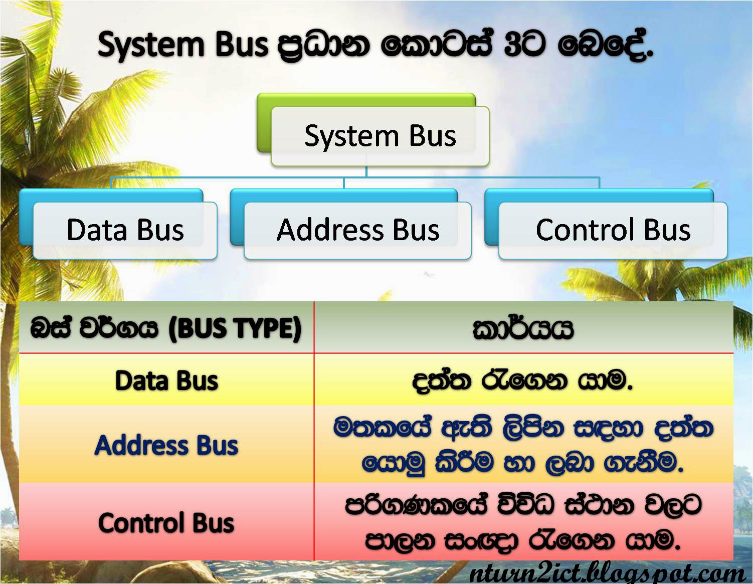 New Turn 2 ICT: Buses