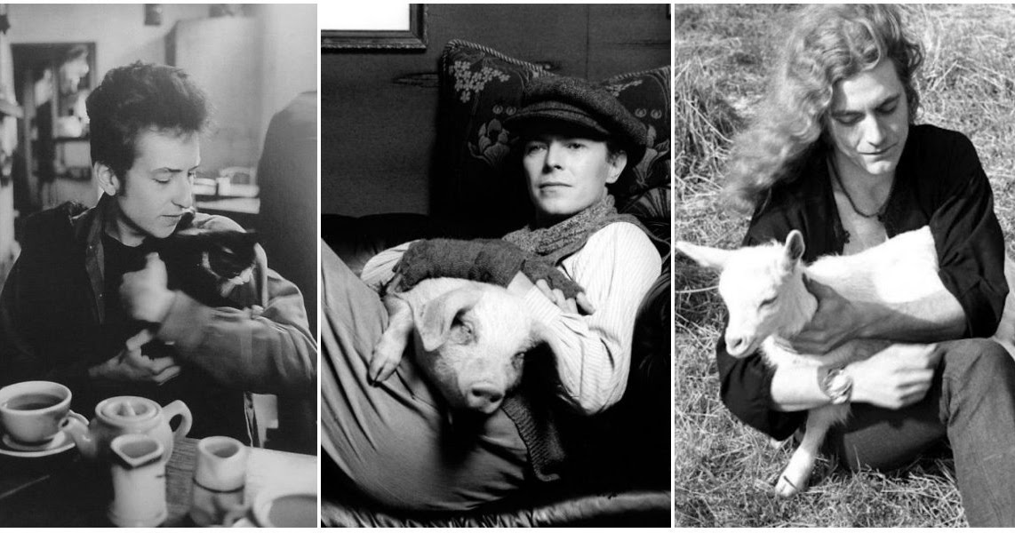 30 Cool Pics of Rock Stars Posing With Their Beloved Pets ~ Vintage ...