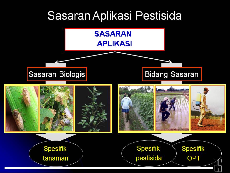 BALAI PENYULUHAN PERTANIAN KECAMATAN (BPK) KECAMATAN LENTENG KAB ...