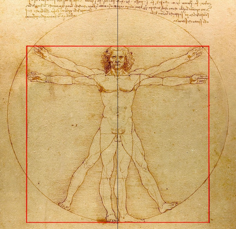 Chris Impens @ Valvas: Da Vinci - Homo ad quadratum