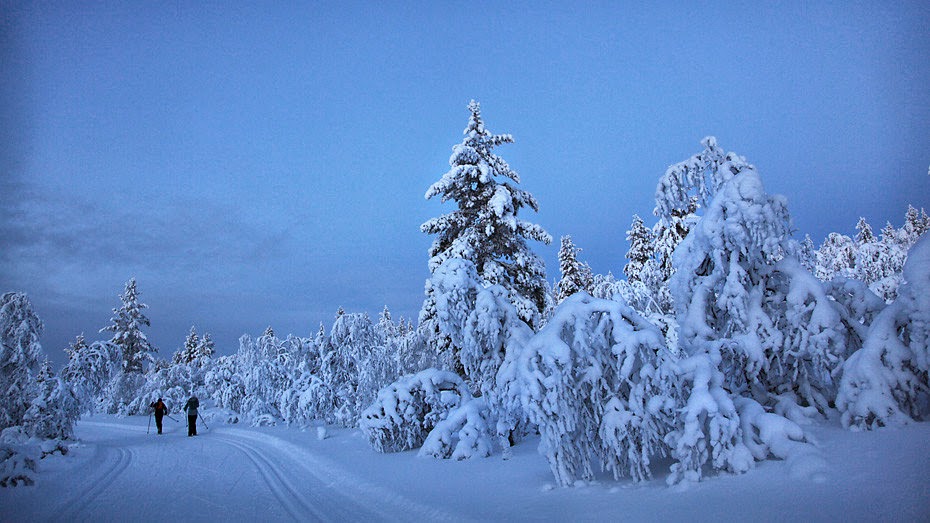 Summer Brief: Finland: Nature