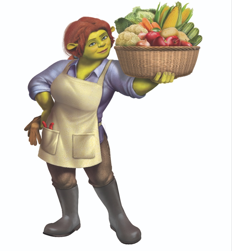 See What Shrek, Crew Are Up To 15 Years After Their First Appearance