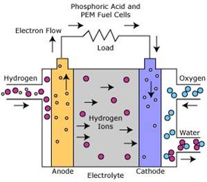 Sistem Konversi Energi : Fuel Cell Hydrogen ~ ⠀ ~Julius Indra Kusuma~