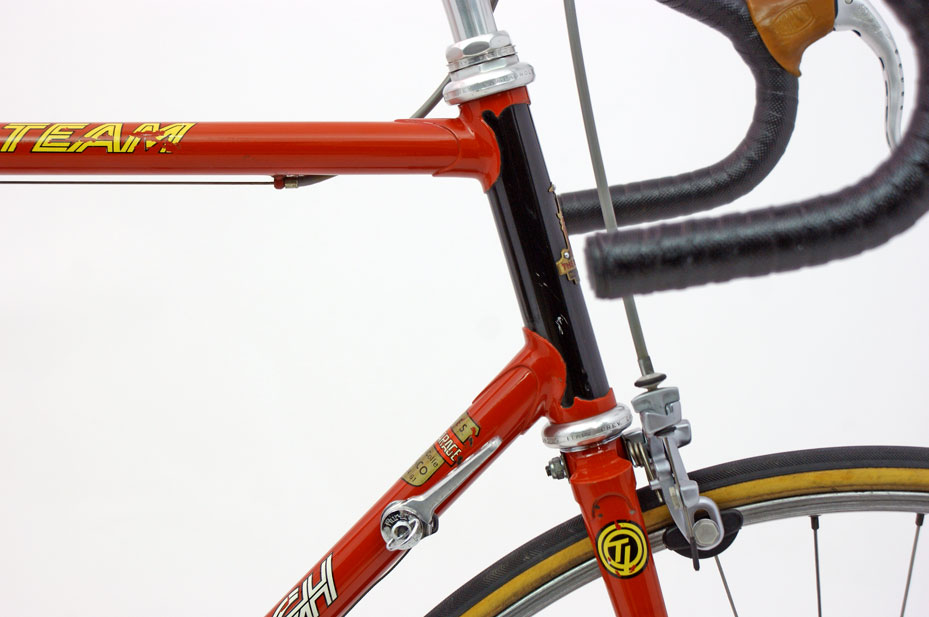 VeloRiders Madrid: Raleigh Team 753