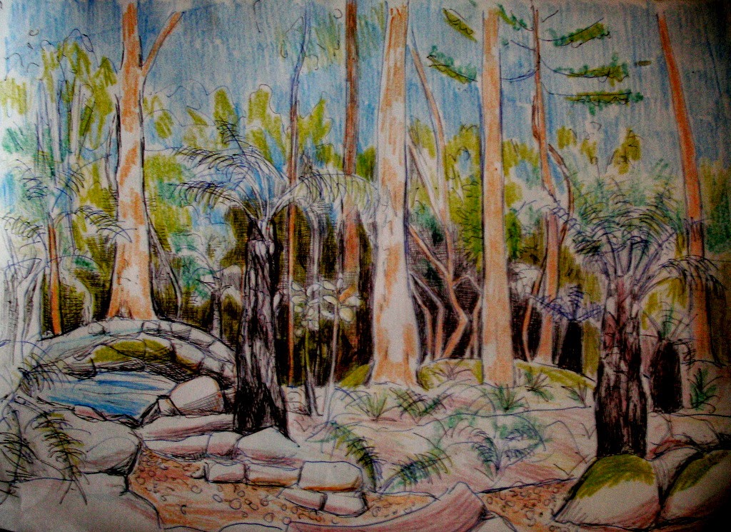 Geelong Visual Diary: Ferns at the Geelong Botanical Gardens