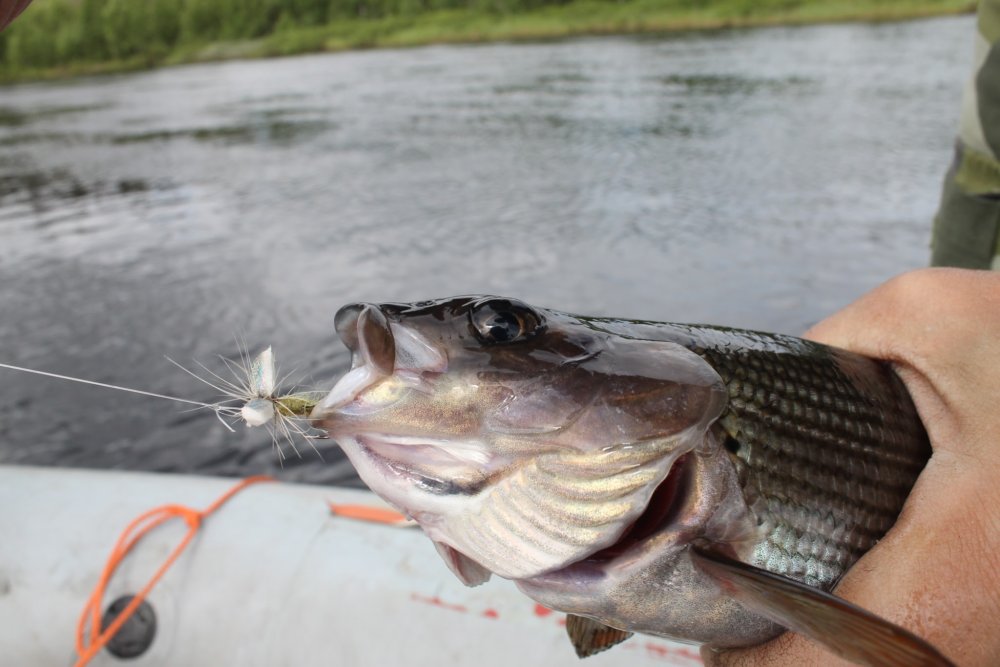 Naruskan Tukikohta: Kalastusmuistoja kuvina Tuntsa-Vaatsimalta.