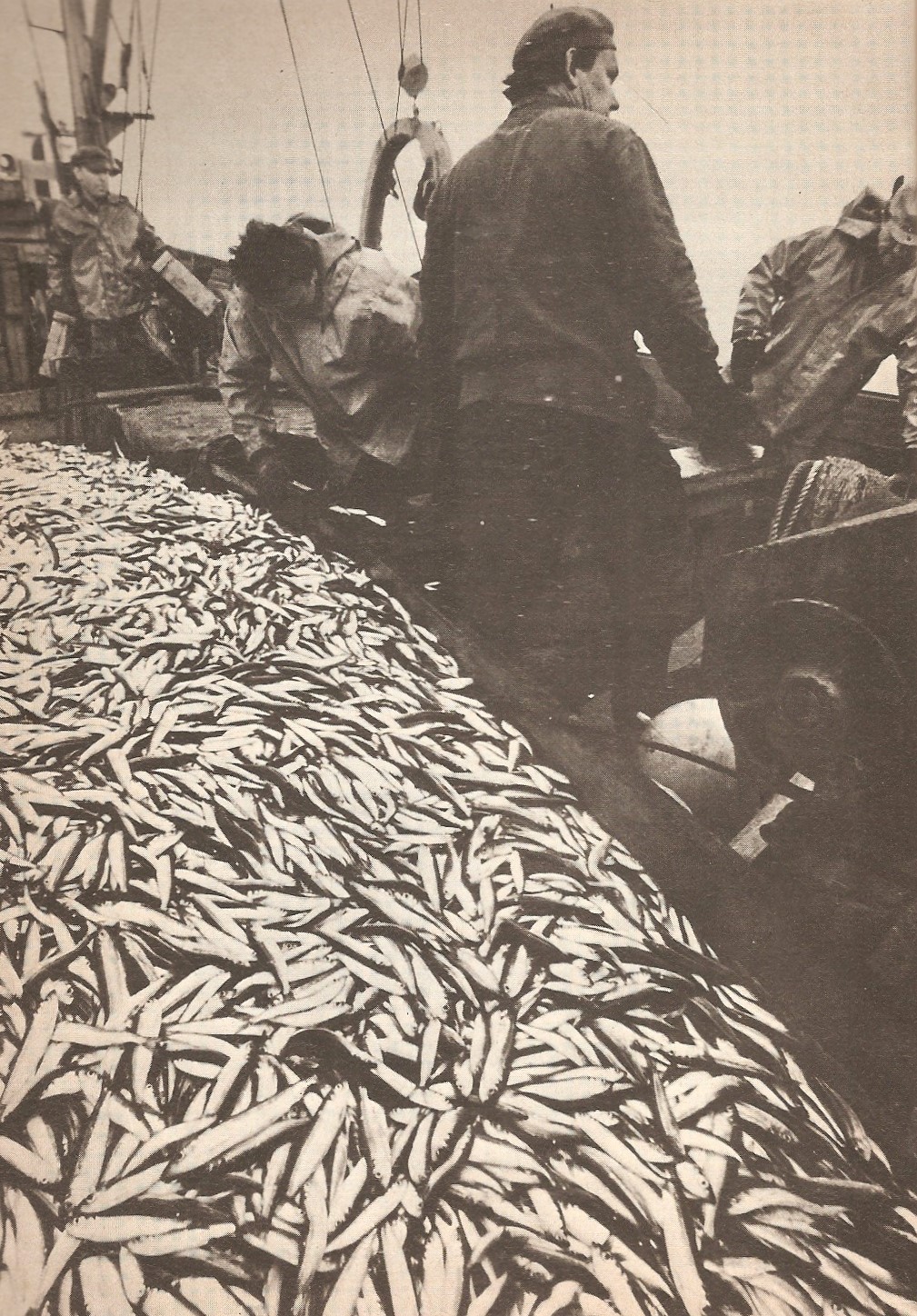 smiling faces sometimes: Sputnik 11: Digest of Soviet Press, November ...