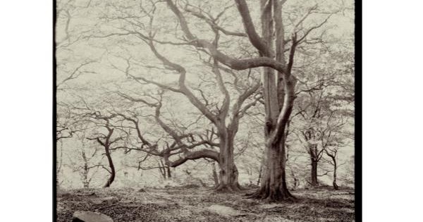 Paper Negatives Revisited