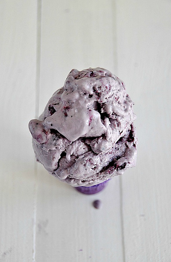 RECETA DE HELADO DE ARÁNDANOS AZULES