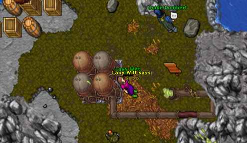 Descomplica: Como Upar Um Mage Rápido - Tibia Life