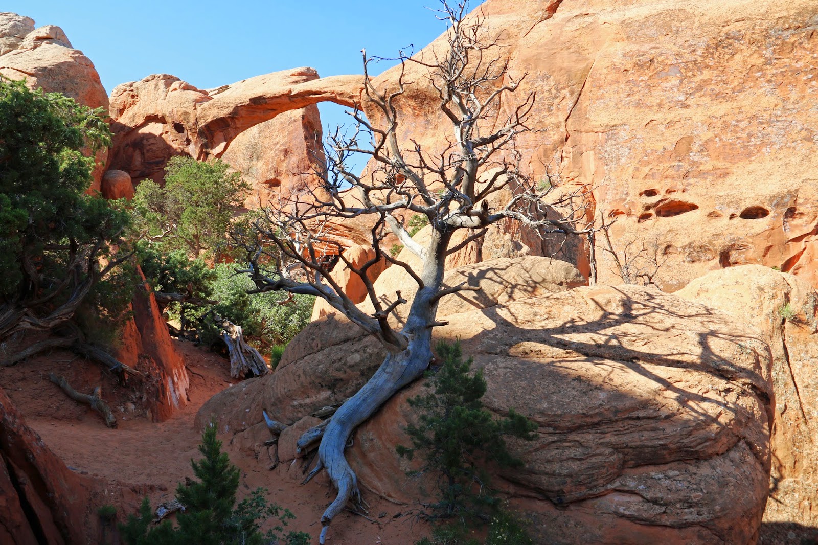 A is for Adventure: Devils Garden Primitive Loop at Arches National Park