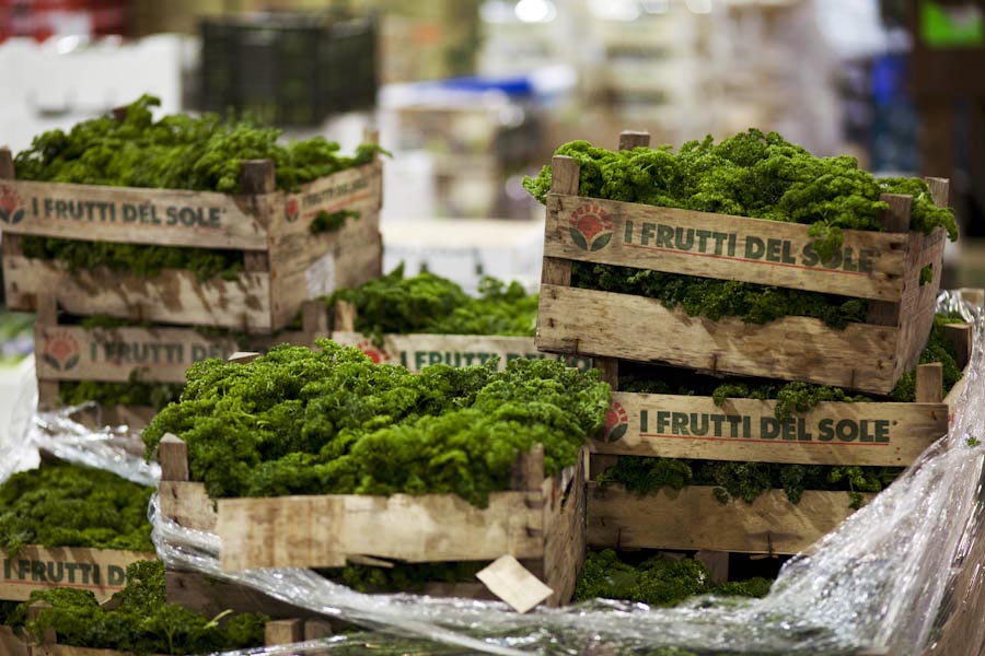 laura braun: New Spitalfields Market