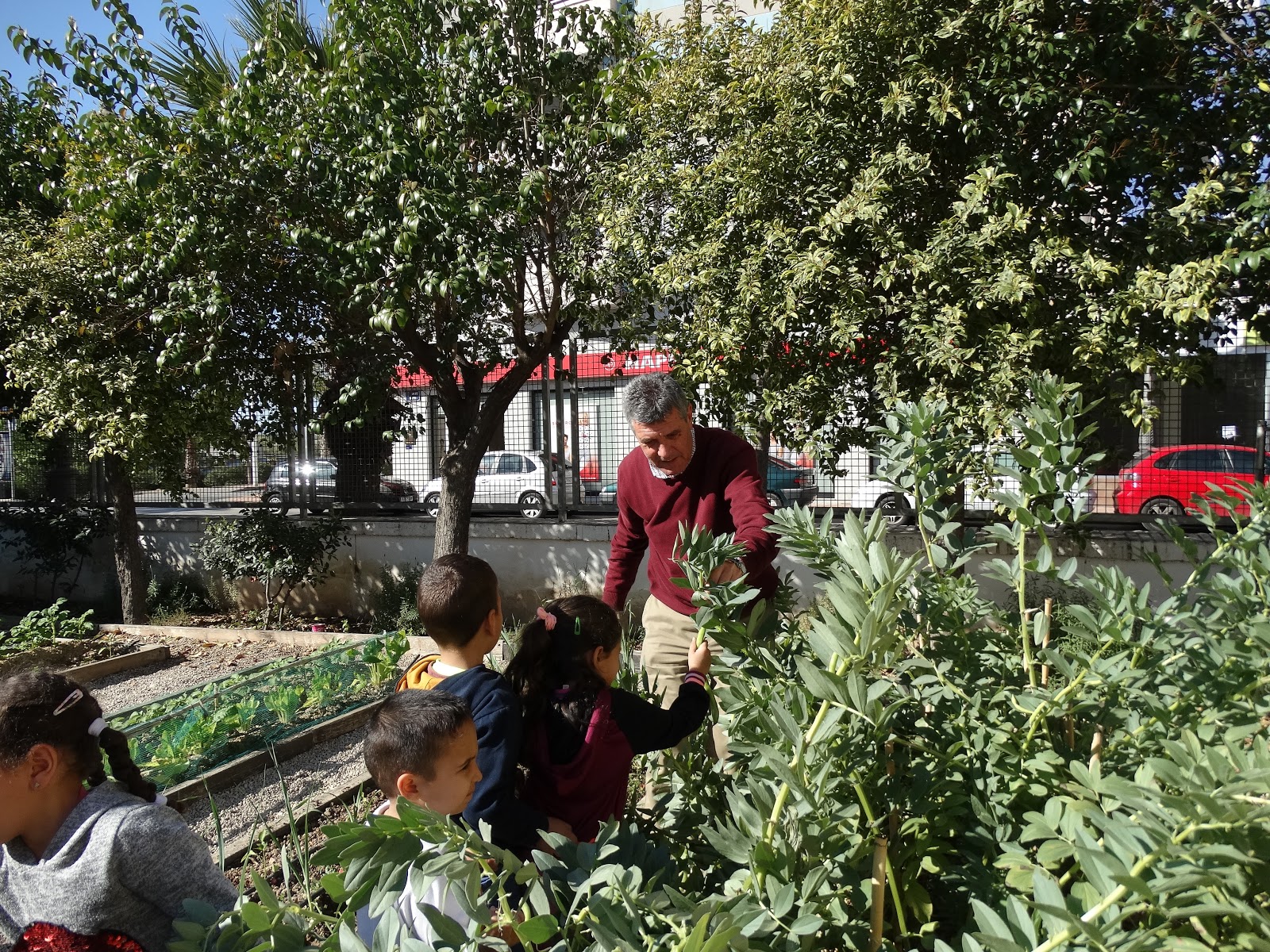 El bancalico del Cervantes: LA LITERATURA CLÁSICA