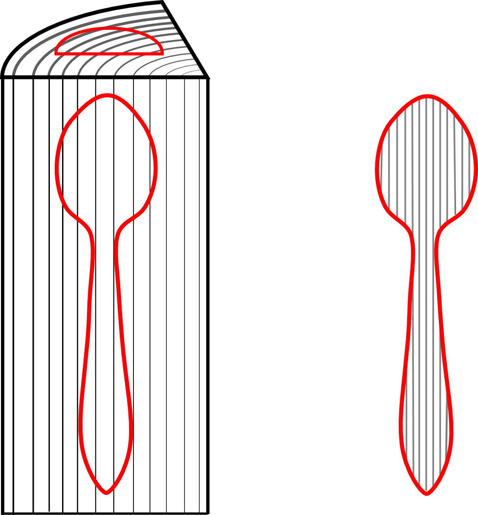 Spoon Carving: Growth Rings