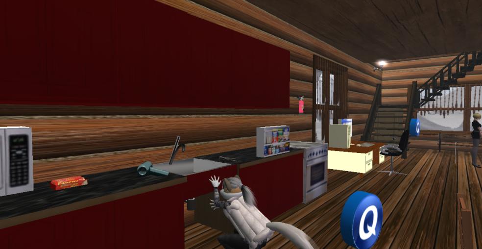 SL Newser - Places: The Winter Safety Game