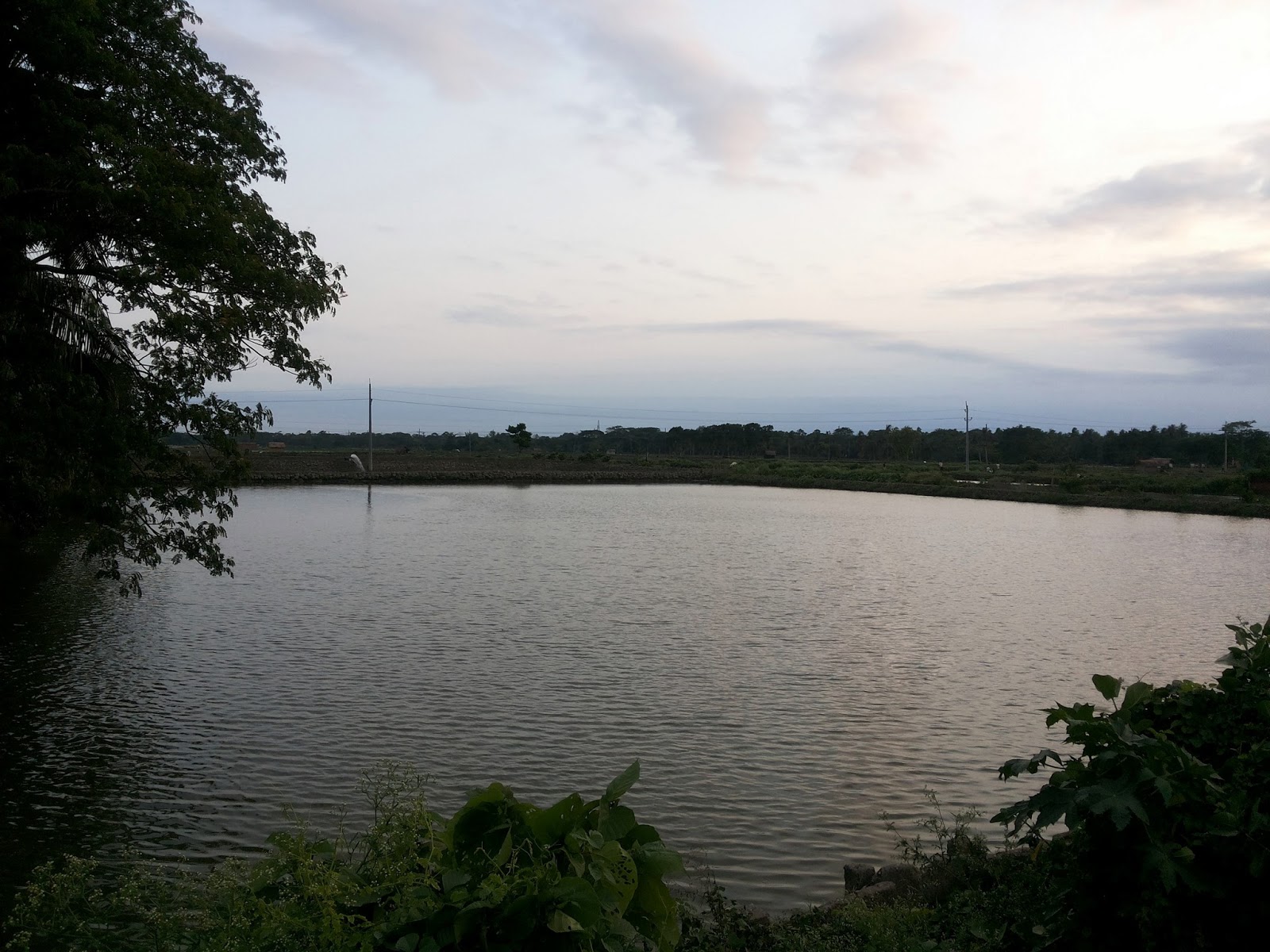 Jessore District ,Bangladesh