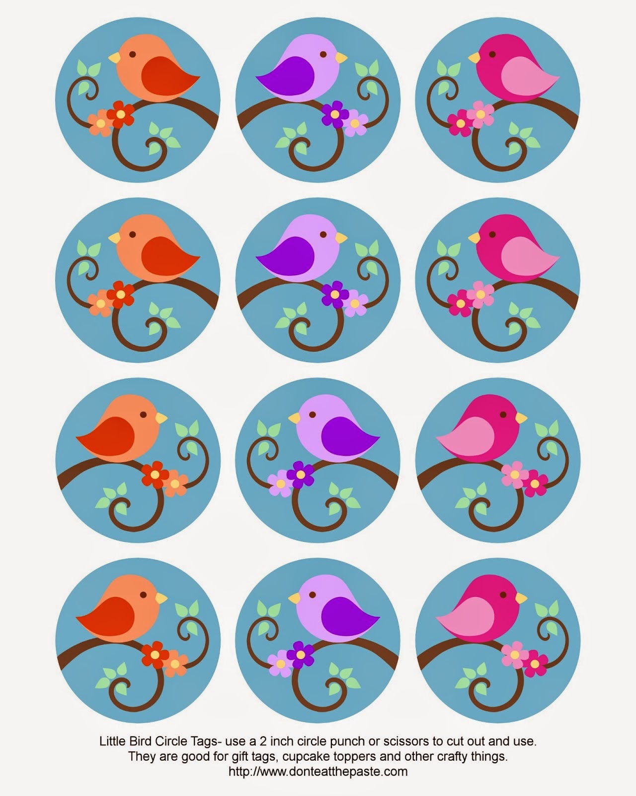 Funny Birds Free Party Printable. | Oh My Quinceaneras!