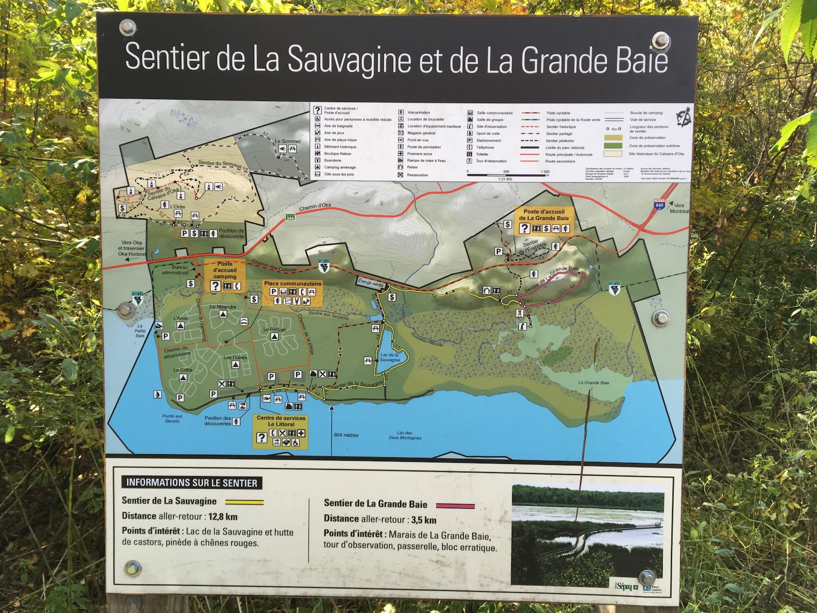 The Campsites: Oka National Park, Quebec