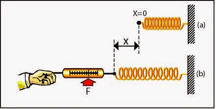 El mundo de la física : Resortes