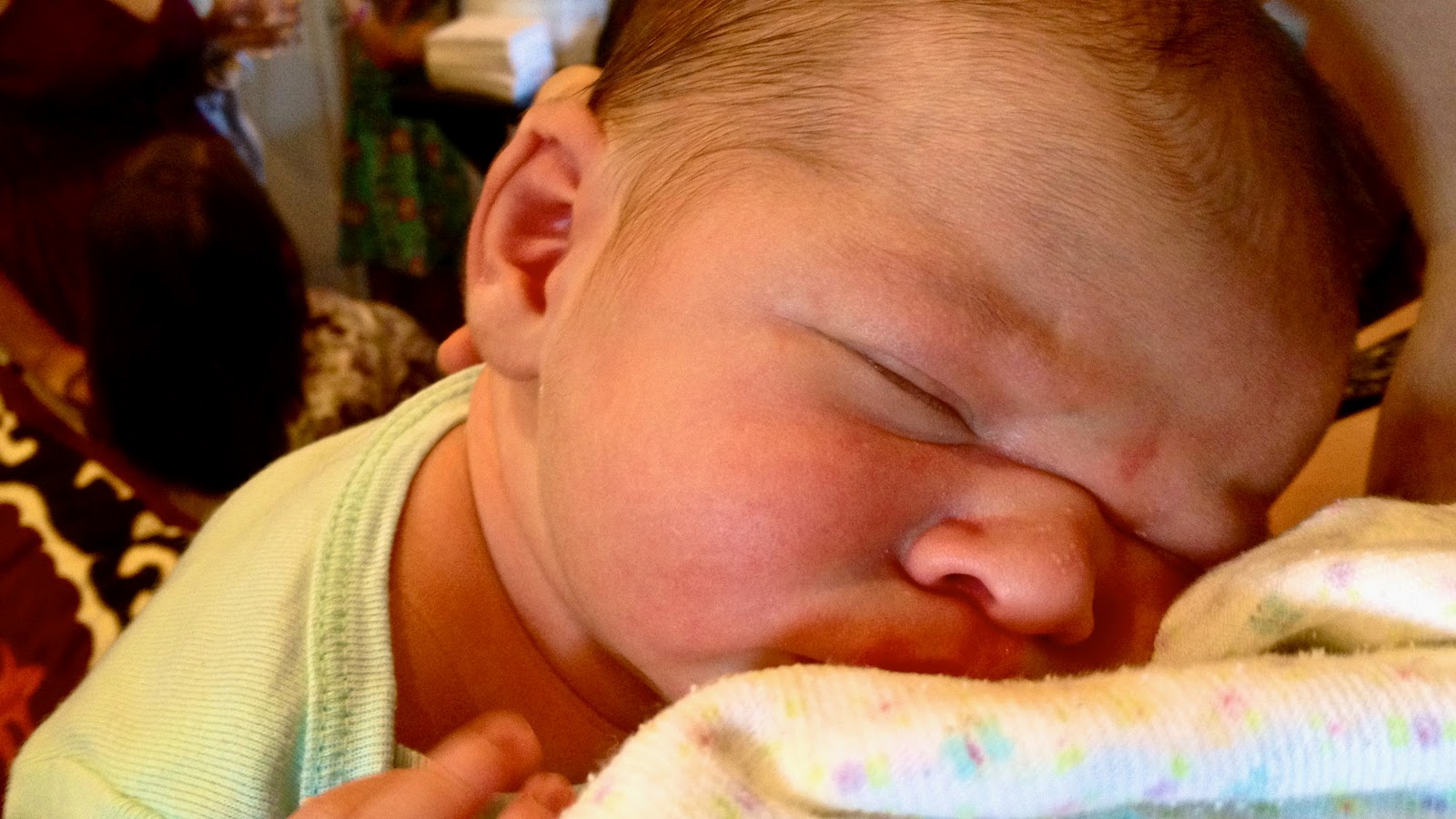 The Bris - Missing Maxie