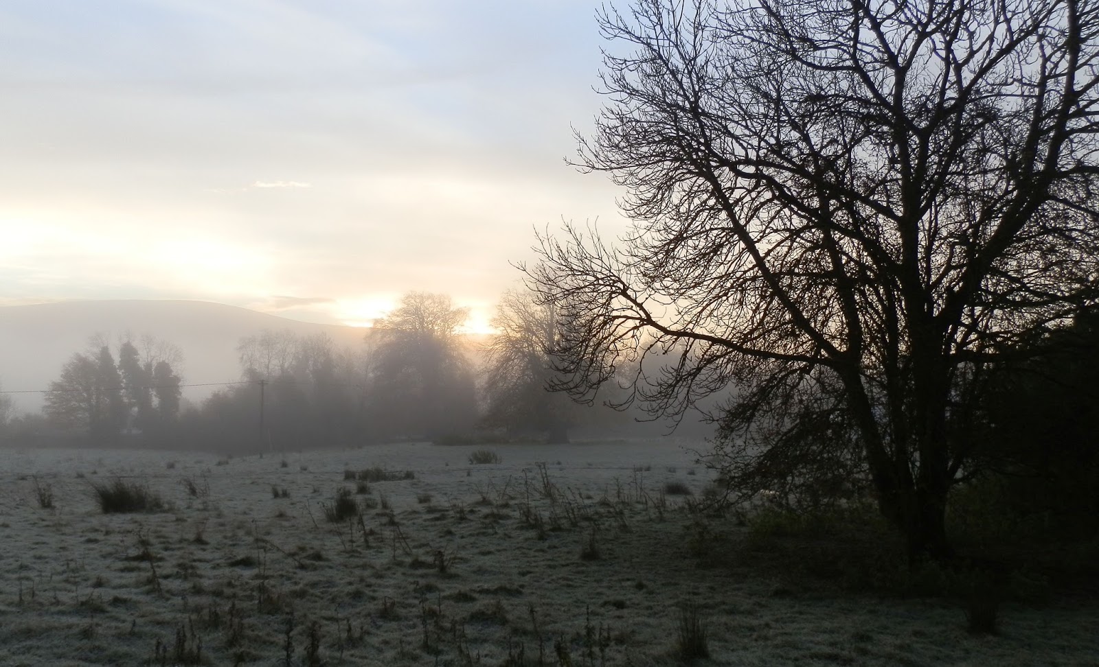 antonalyptic: Cold and frosty