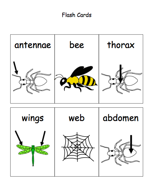 Autism Tank: Science Preview: Insects
