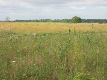 Time Present and Time Past: Contested Territories: Essex in the 1st ...