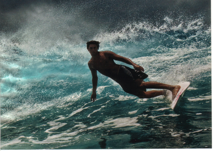 Bluegrass Board Building: Dolphin Wing: Wing-Tail Surfboard Design