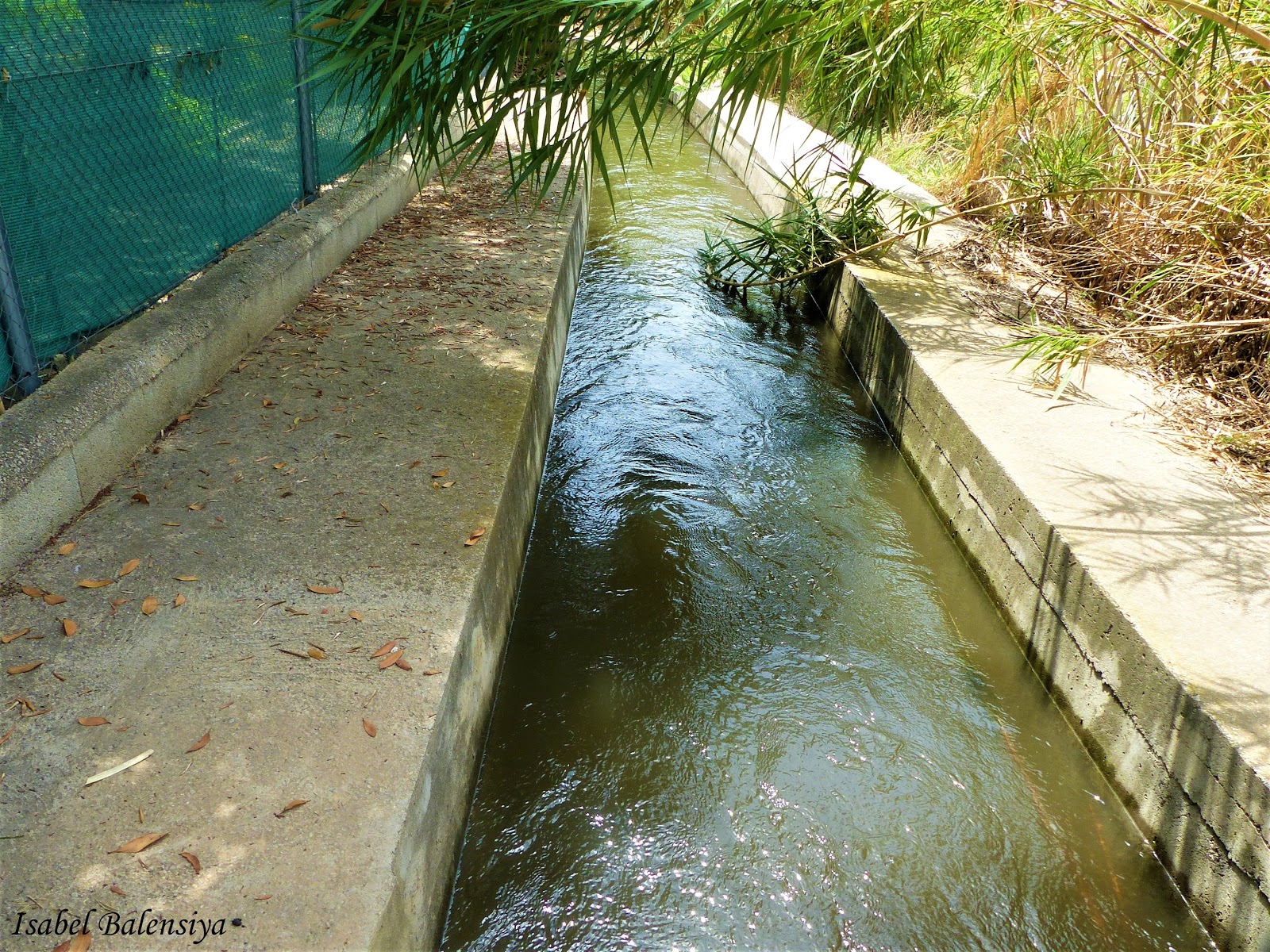 CALLEJEANDO POR VALENCIA : Acequia Mayor de Tormos (Acequias de Valencia#2)