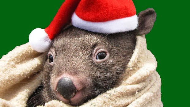 EBL: Wombat's Christmas Suggestions w bonus Rule 5