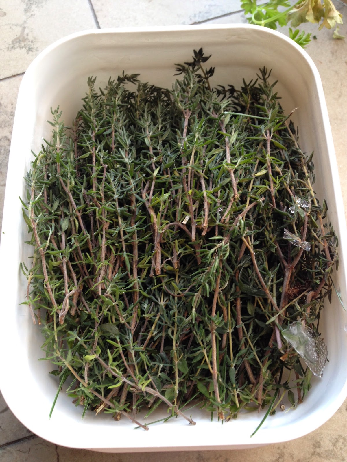 Vi vill ha mat: Alltid färsk timjan