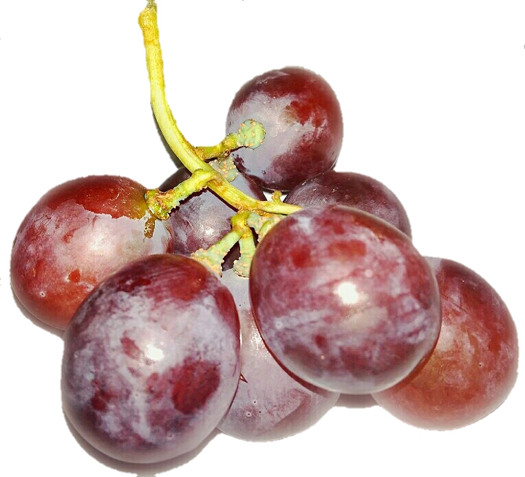 Buah Anggur Merah Lezat Dan Berkhasiat - Aku Ingin Tahu