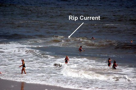 NUTTY FACTS: What To Do When Caught in a Riptide - This Could Save Your ...