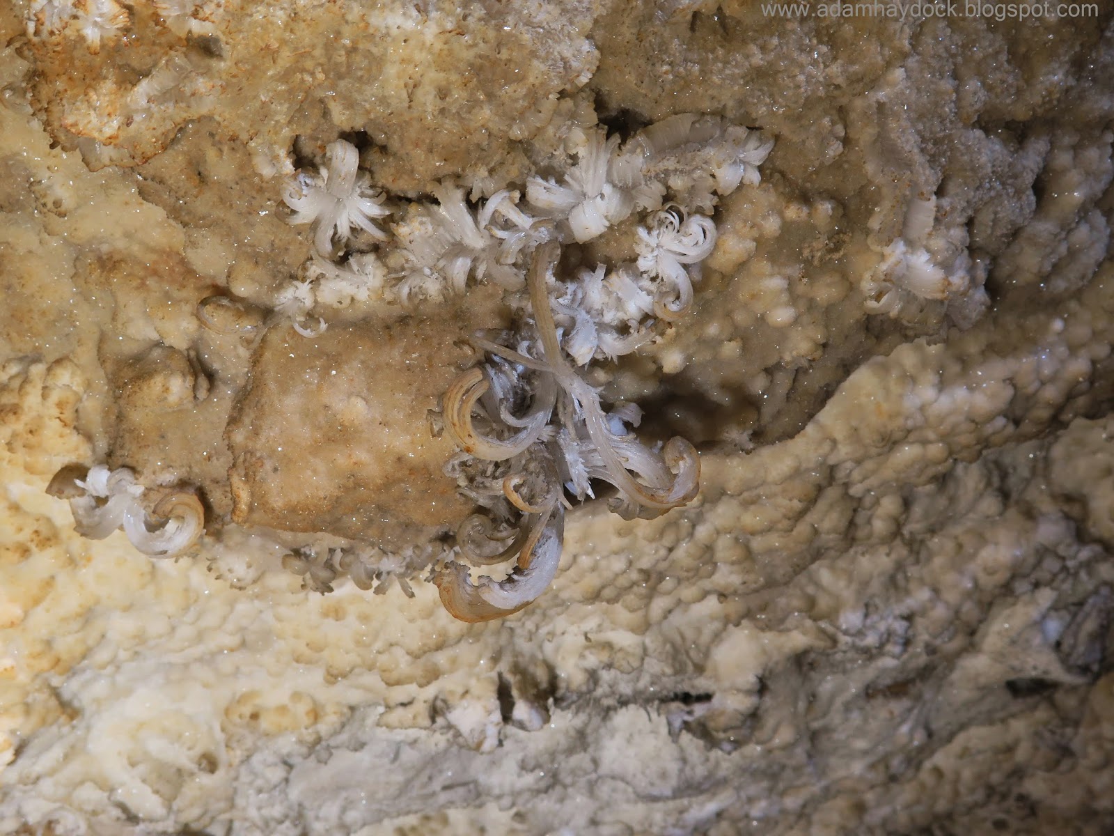 THORNHILL CAVE - ADAM HAYDOCK