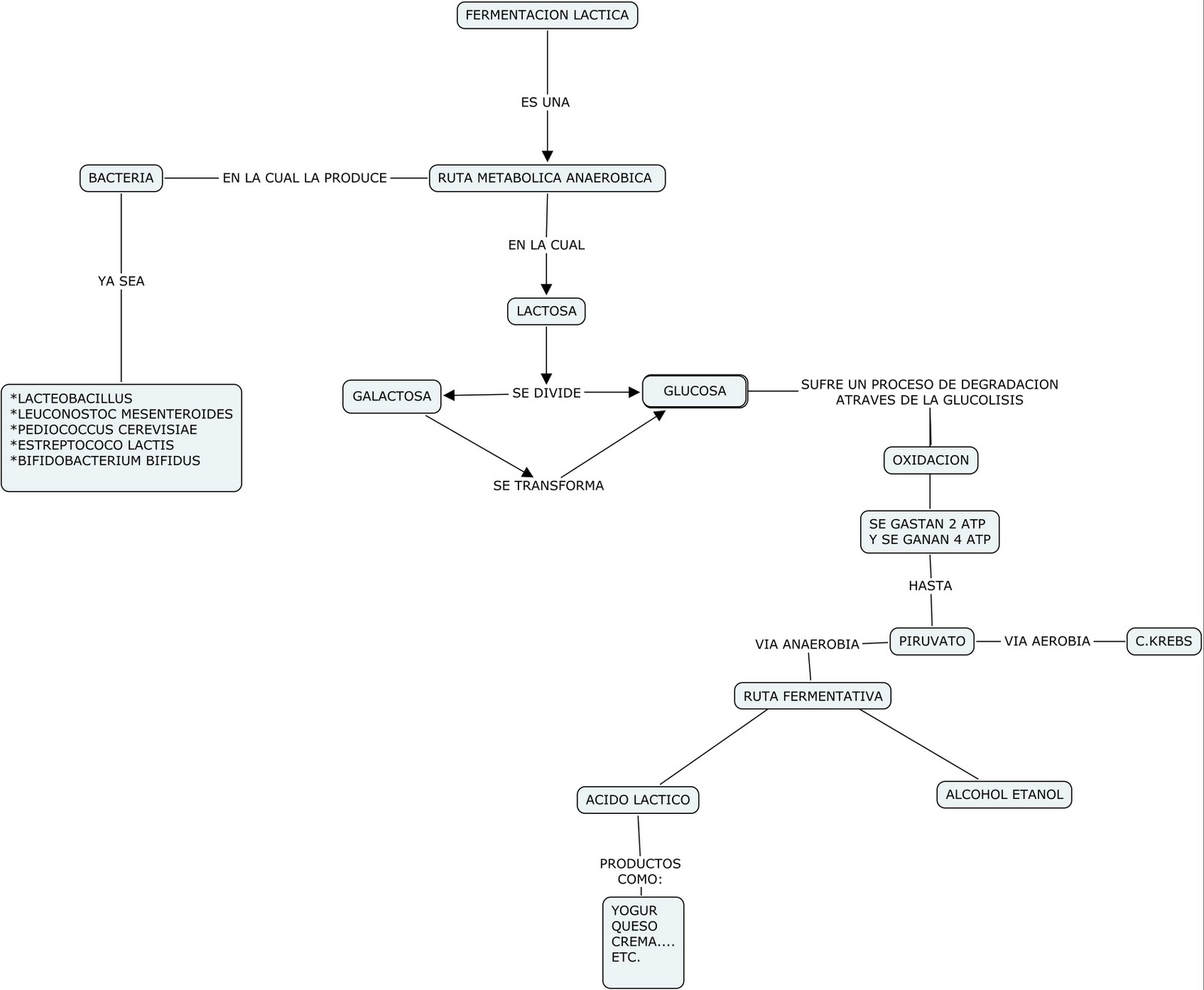FERMENTACION LACTICA: FERMENTACION LACTICA