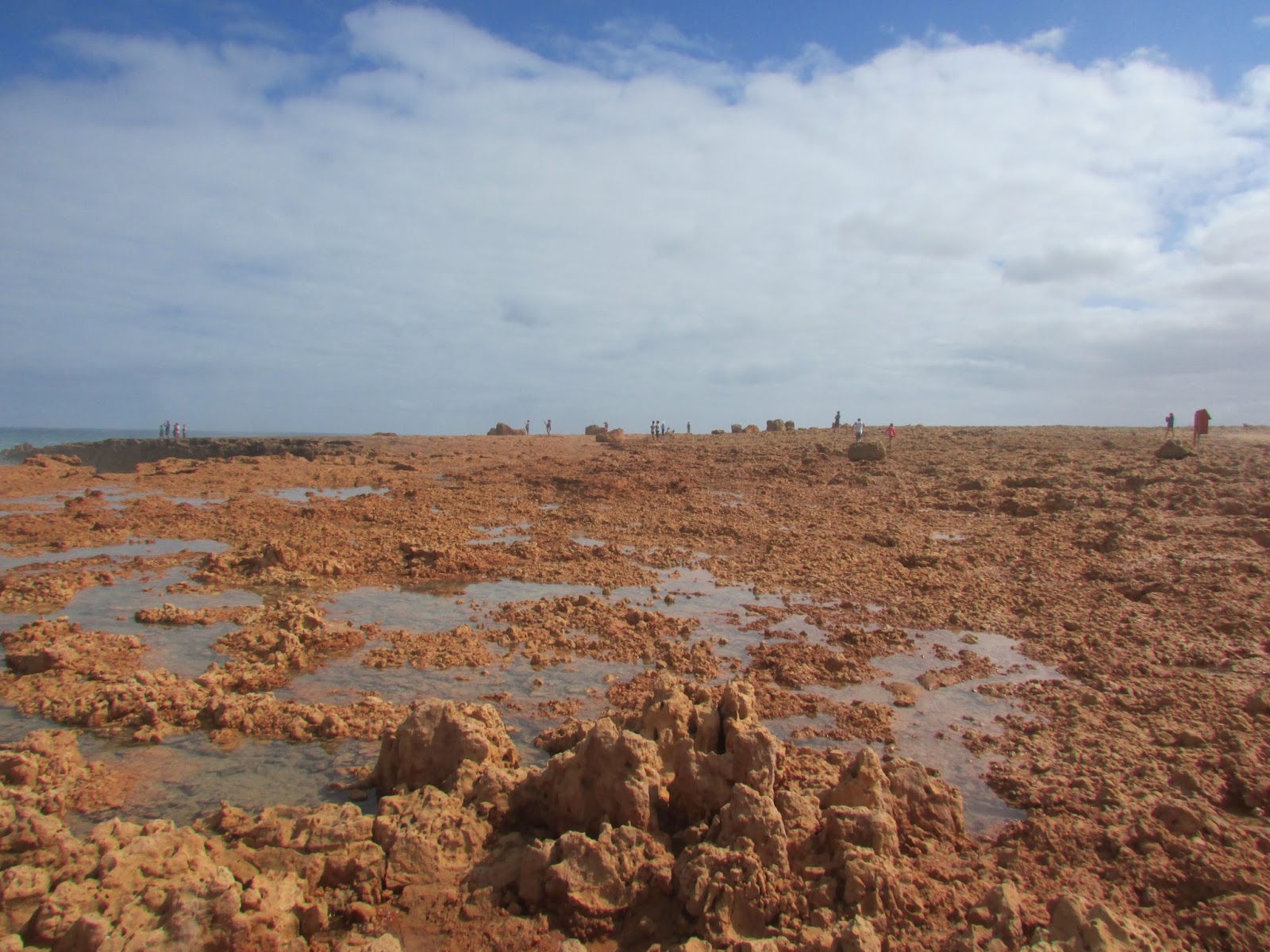 Scheffer Family's Great Aussie Adventure - 2013: 11 September – 12 ...