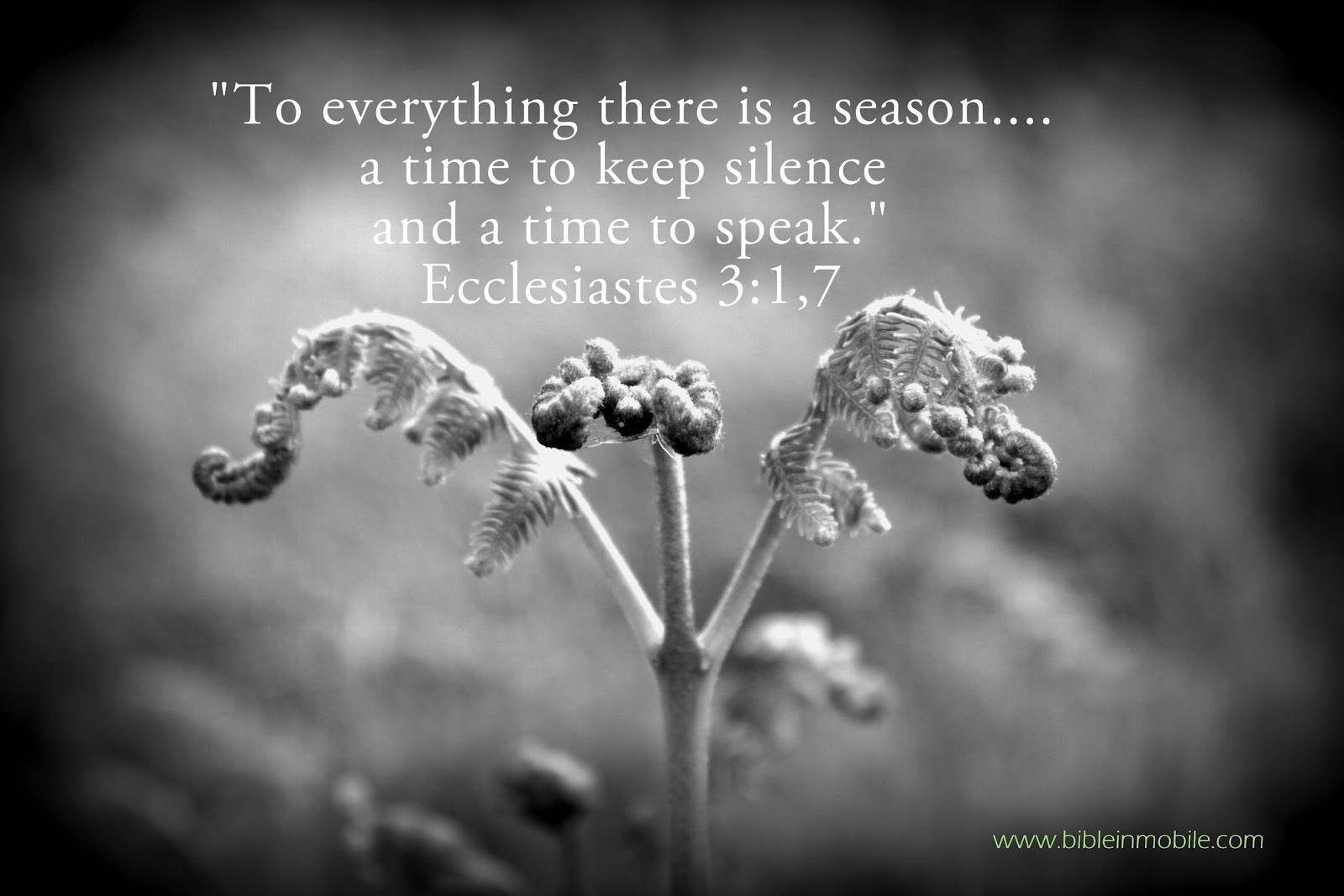 Bible Quotes About Time. QuotesGram