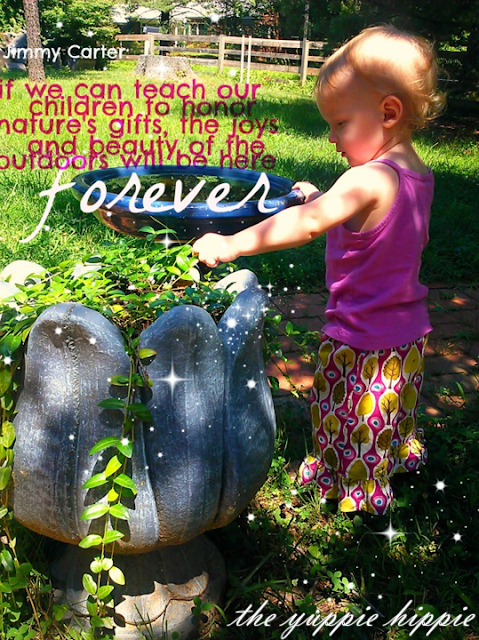 The Yuppie Hippie: Wednesday's Wise Words