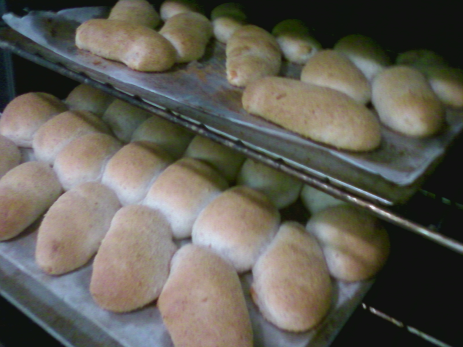 Whole Wheat Spanish at Sam Hamby blog