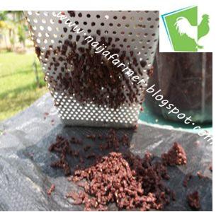 How I made my Catfish feed: Making Catfish feed at home or farm (Local ...