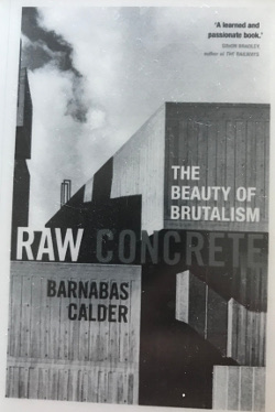 Happy Antipodean: Book review: Raw Concrete, Barnabas Calder (2016)