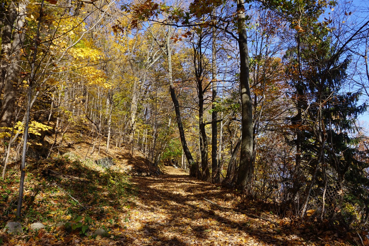 Harriman Hiker: Harriman State Park and Beyond: Forest View Trail to ...