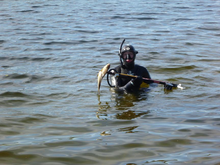 Lake Saimaa fishing travels: Diving & Trolling in lake Saimaa