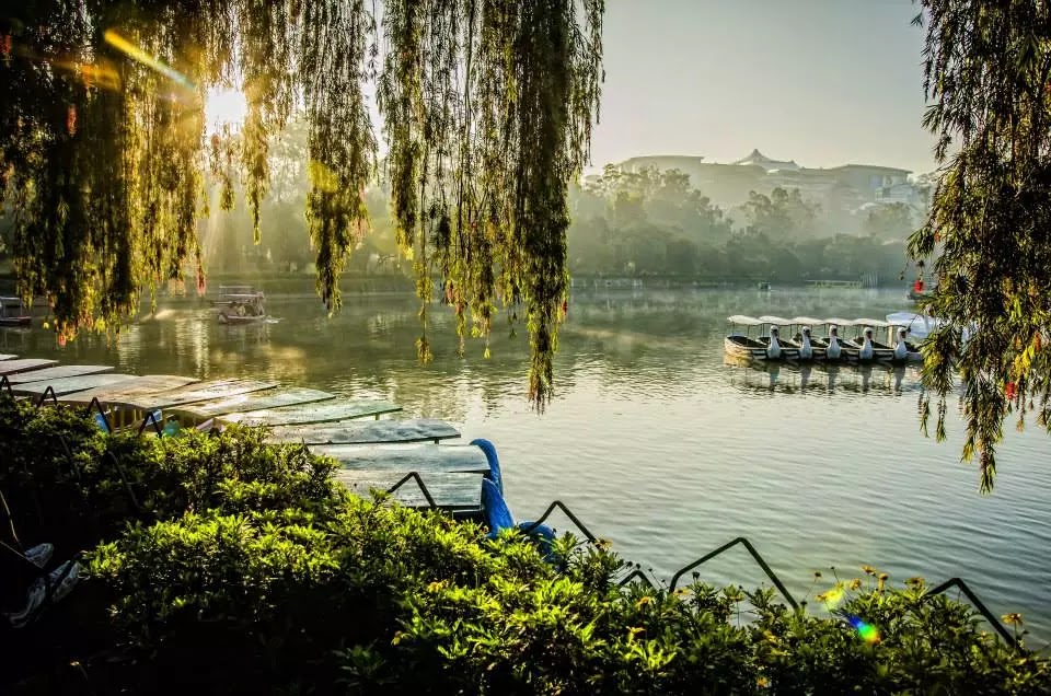 Why No One Talks About Burnham Lake Anymore | AvianQuests