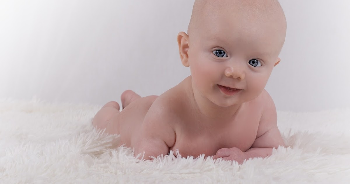 Emprendedores: LA NEOTENIA O PRINCIPIO DEL CACHORRO