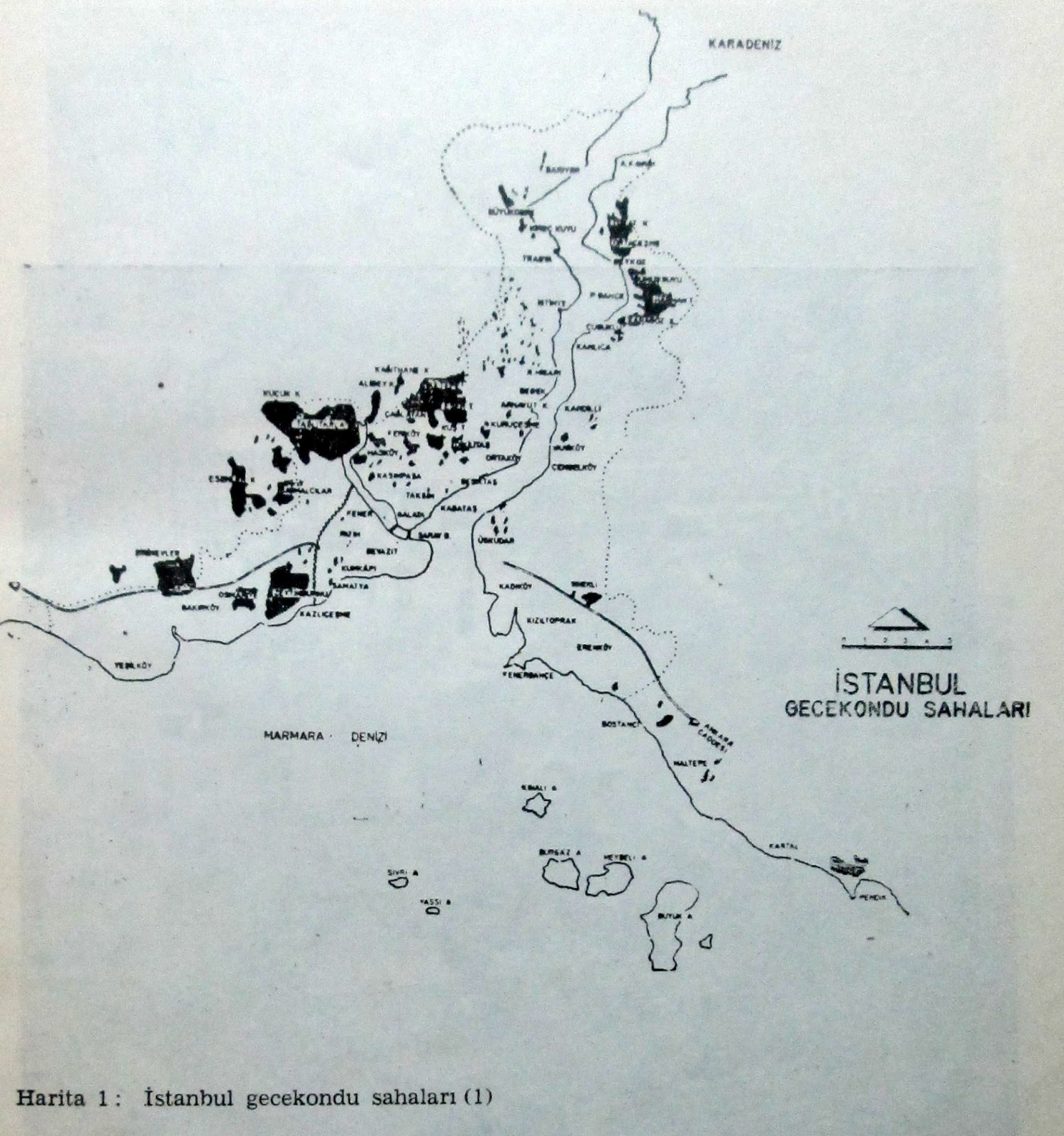 Afternoon Map: Urbanization in Turkey
