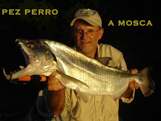 Hobby-pesca: Peces De Agua Dulce