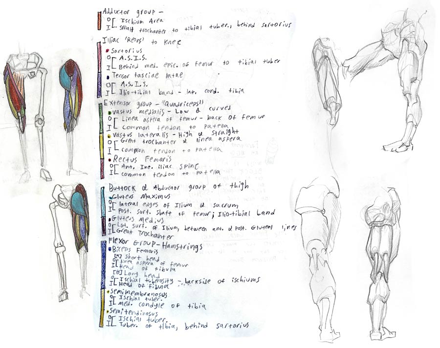 Jon Neimeister Art: Anatomy Study - Legs