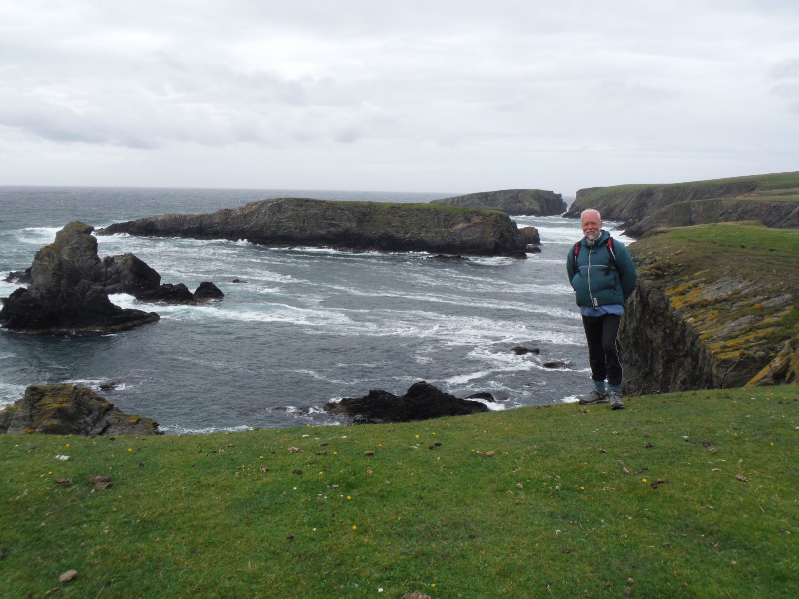 Paddles with an Anas acuta: Shetland: St. Ninian's and Fitful Head
